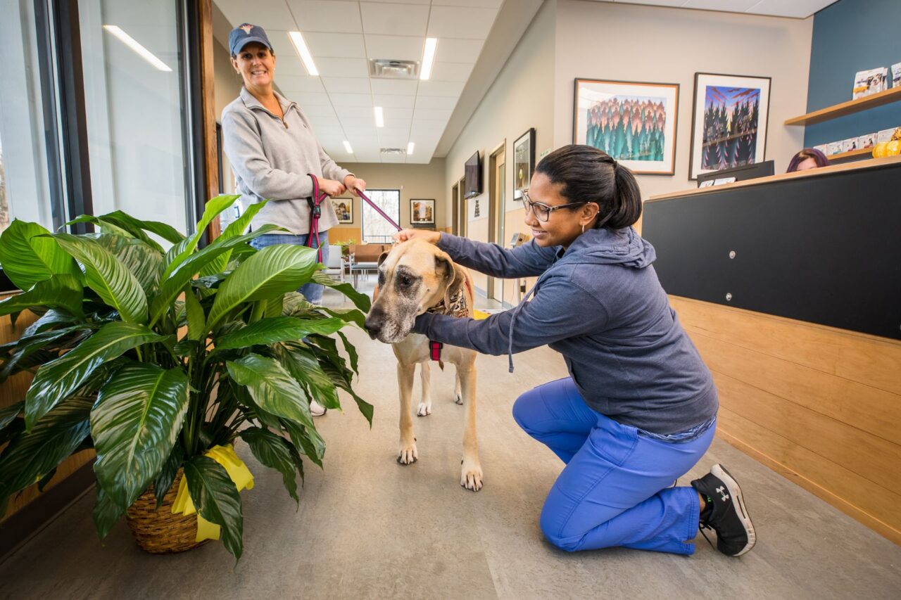 Pocono Peak Veterinary Center Gallery | Vet Stroudsburg, PA