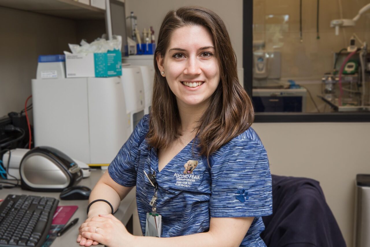 Pet In-House Laboratory In Stroudsburg, PA | Pocono Peak Vet